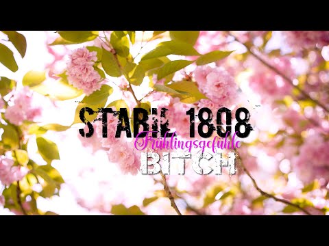 STABIL1808 \
