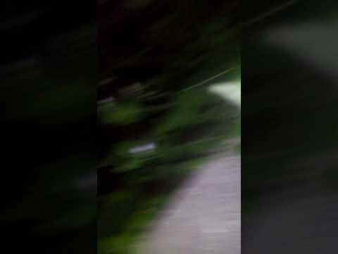 Cinli okula girdik (gördük)