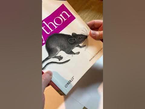 The Best Book For Learning Python - YouTube