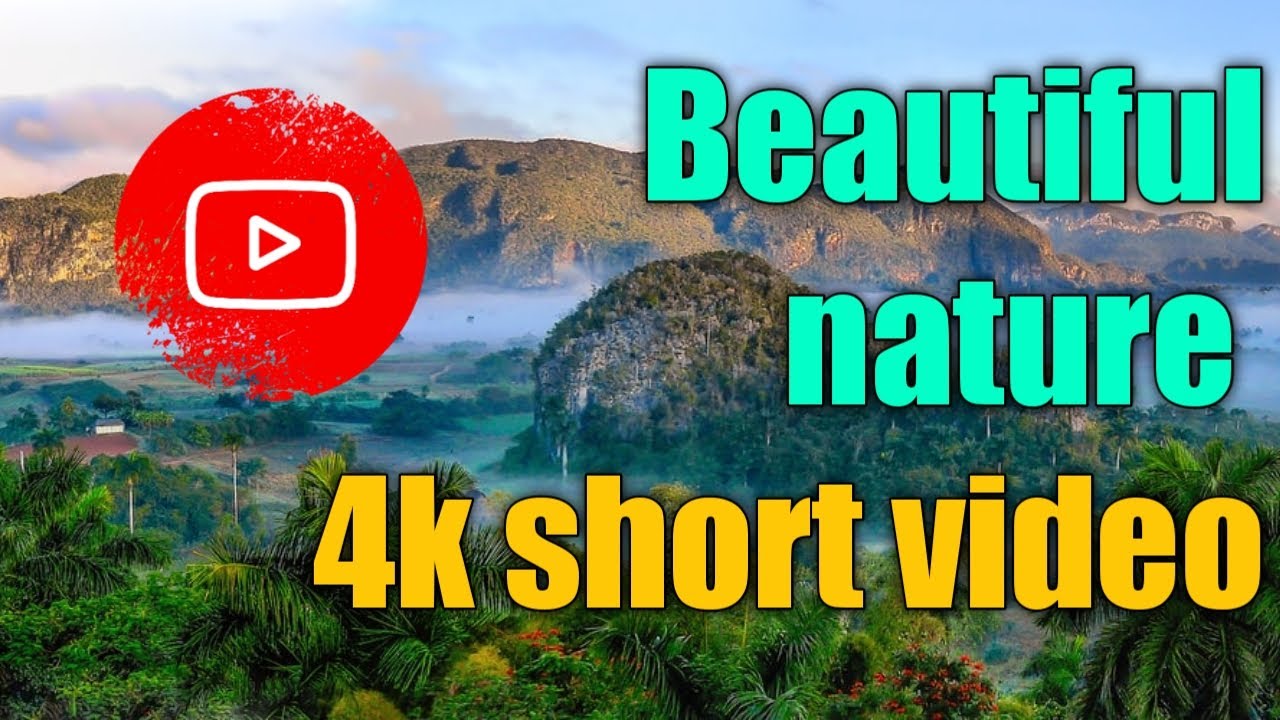 beautiful nature 4k short video - YouTube