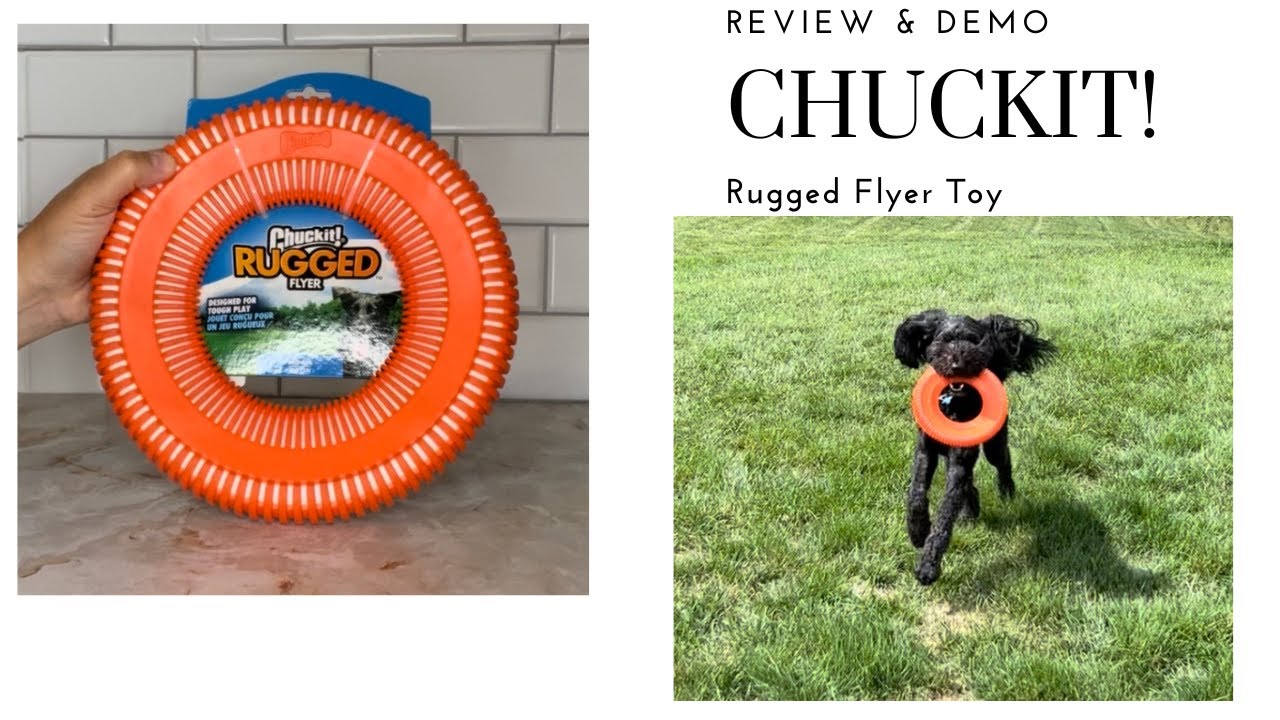 Chuckit! Rugged Flyer Dog Toy - Review and Demonstration - YouTube