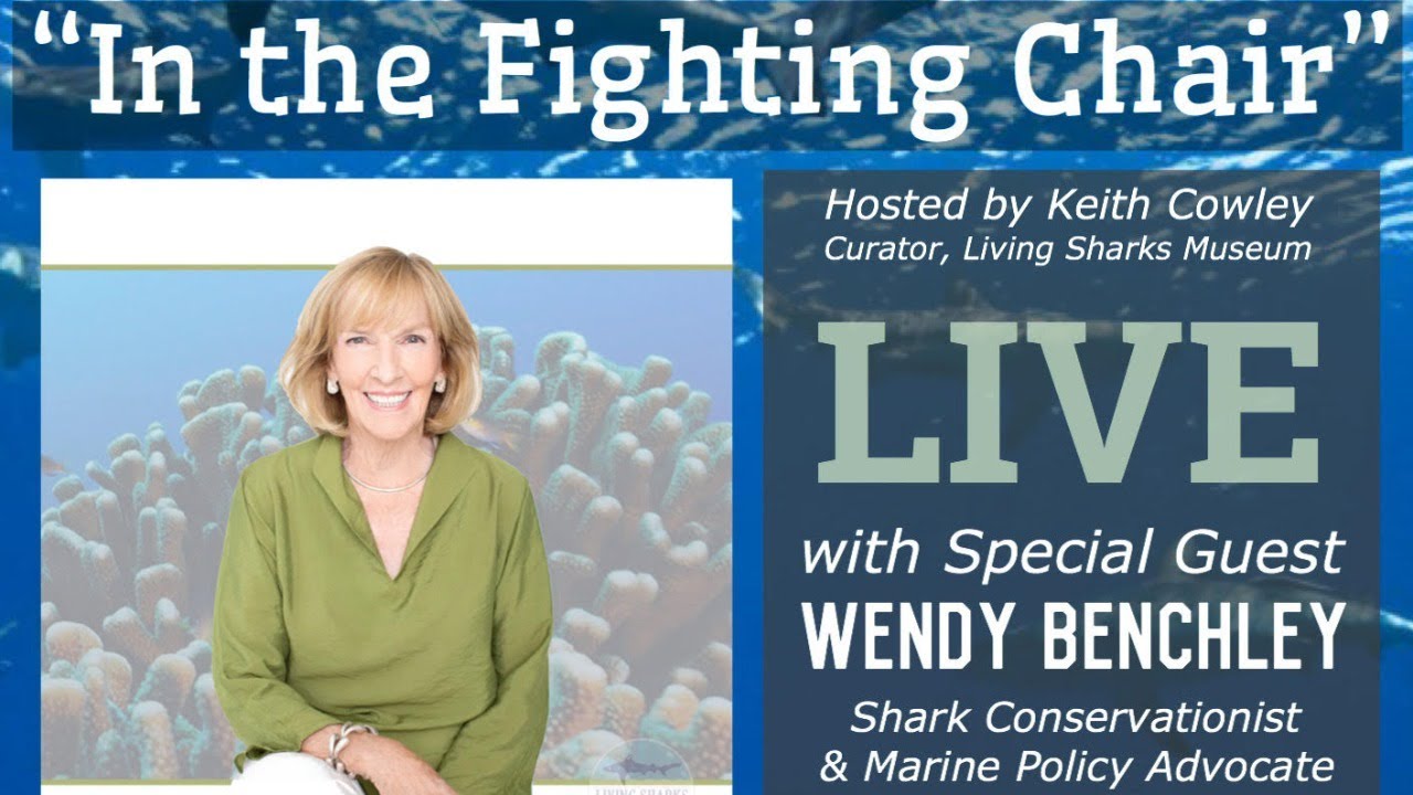 In the Fighting Chair with Wendy Benchley - Shark Advocate - YouTube