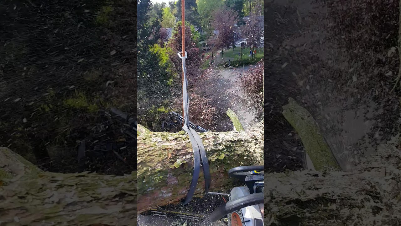Boom vellen met behulp van een hoogwerker - YouTube