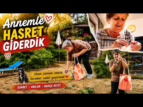Ben Erik Peşinde 🤗Annemin Bitmeyen Perde Derdi 😂#günlükvlog 