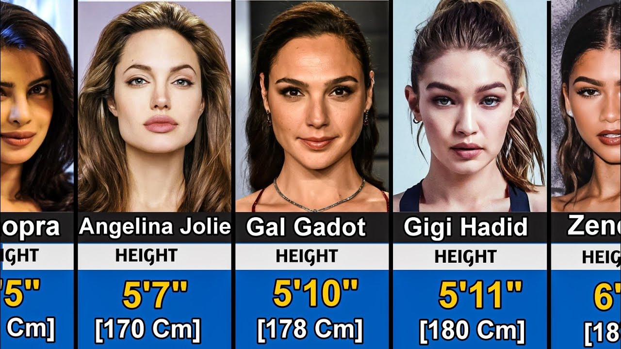 Real Height Of 115 Hollywood Actresses || Height Of Famous Hollywood ...