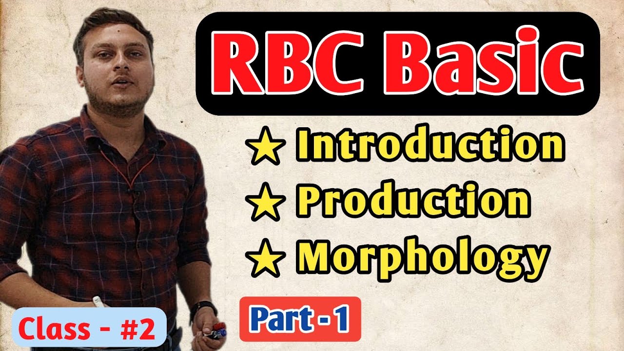Hematology || RBC Basic || Introduction, Production & Normal Morphology ...