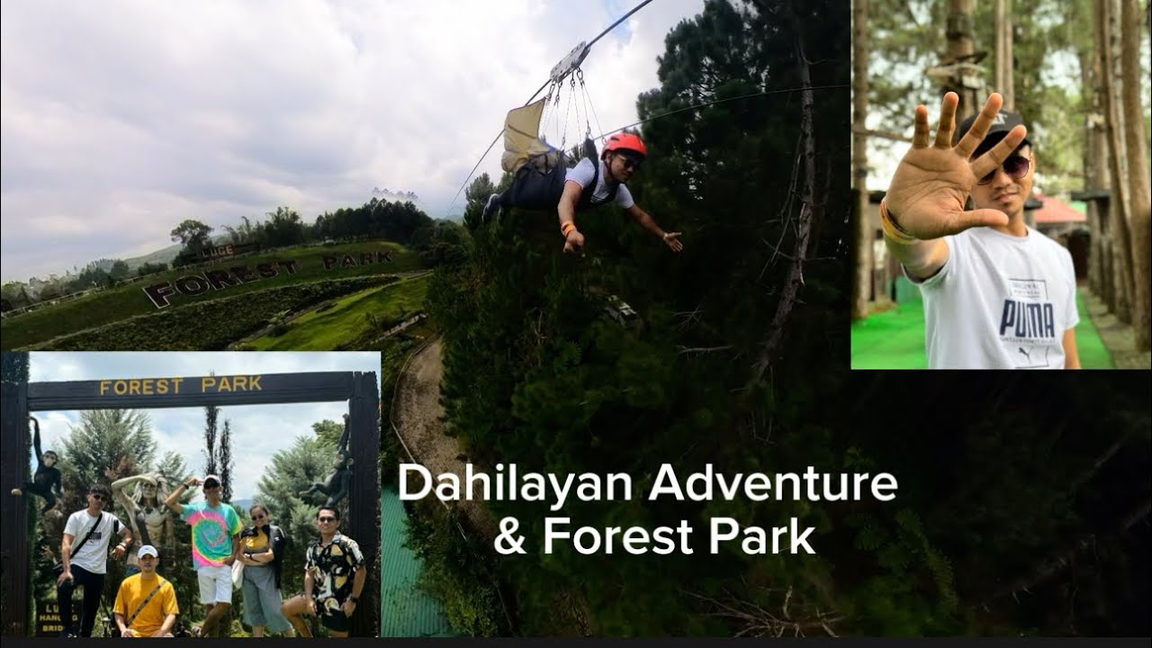 Experience Asia’s Longest Dual Zipline in Dahilayan Adventure & Forest ...