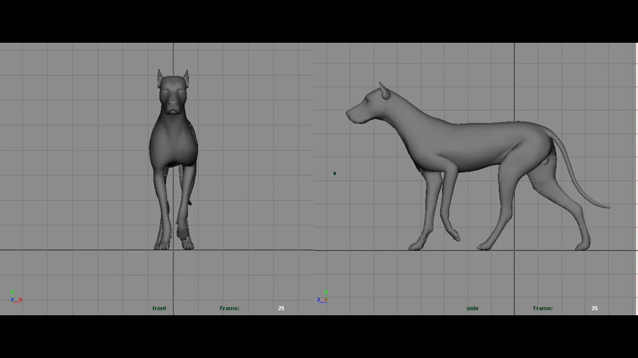 walk cycle Dog - YouTube