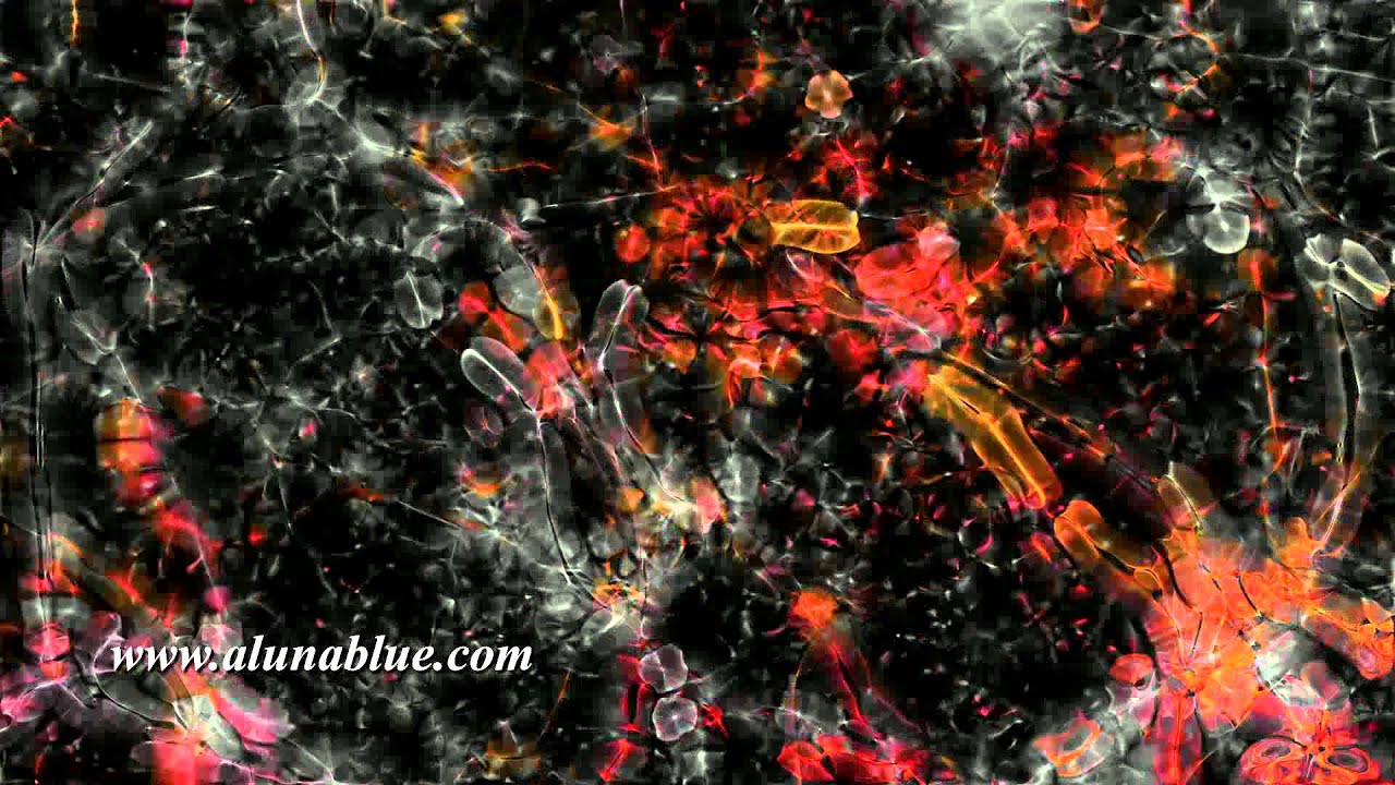 Video Background 2050 - Animated Backgrounds - Video Loops - YouTube