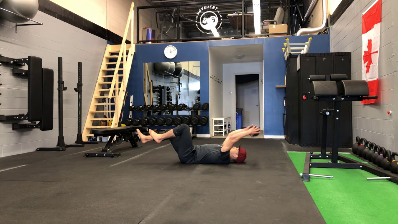 DB dead-bug - YouTube