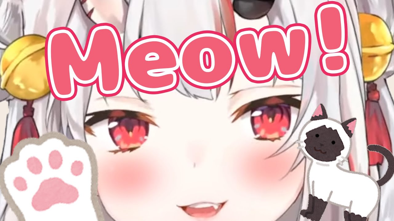meow! meow! - YouTube