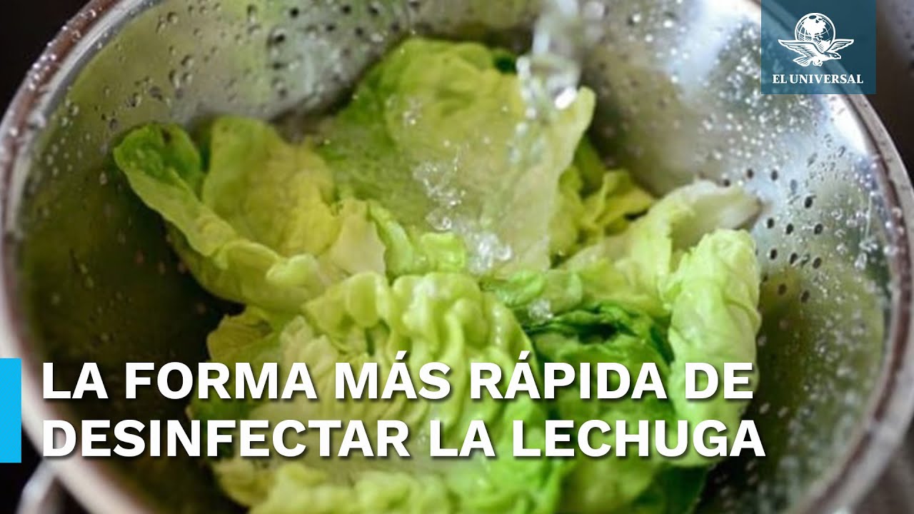 Esta es la forma más adecuada para lavar y desinfectar la lechuga - YouTube