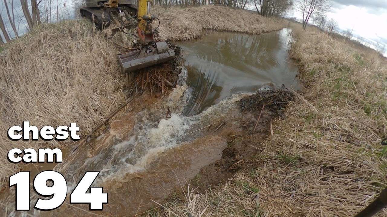 Two Beaver Dams Removal With Excavator No.194 - Chest Cam - YouTube