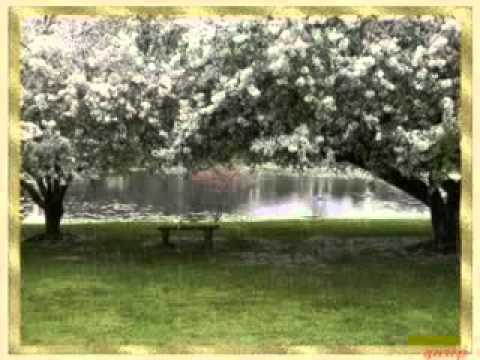 Cahit Berkay - Sultan Film Müziği 1978