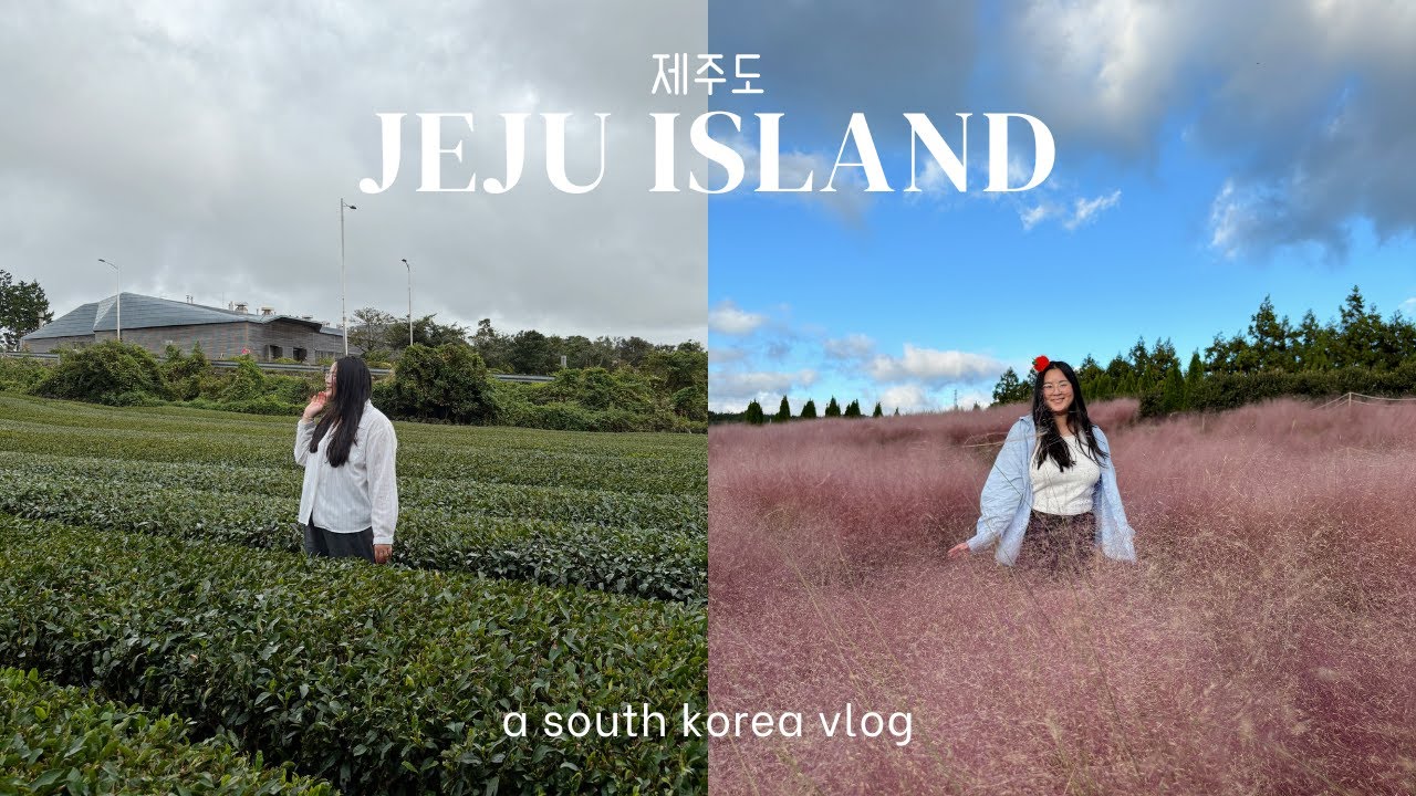 3 days in jeju | road trip, o'sulloc tea museum, pink muhly, café hopping & food markets + links ...