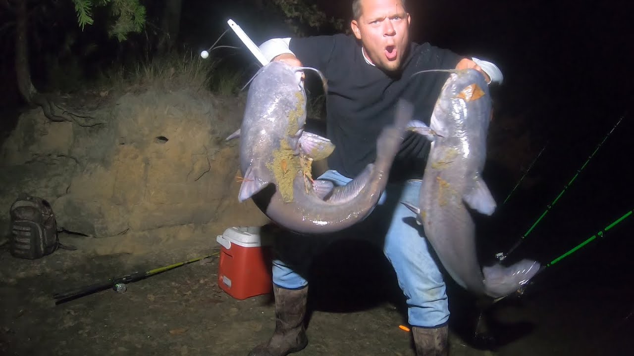 How To Catch Big Catfish At Night From The Bank - YouTube