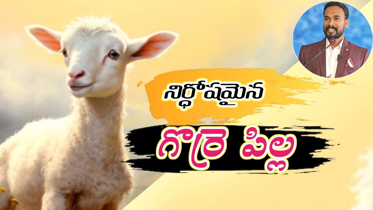 నిర్ధోషమైన గొర్రె పిల్ల || లేవీయకాండము 22 || Leviticus 22 || Unblemish ...