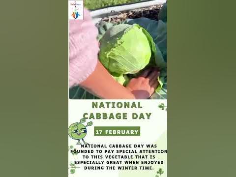 National Cabbage Day, 17 February 2025 #EduBuzz #cabbage - YouTube
