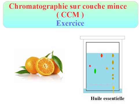 CHROMATOGRAPHIE sur COUCHE MINCE - Interpréter un chromatogramme ...