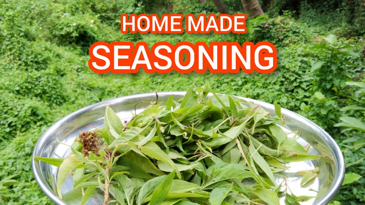 THIRUNEETRU PACHILAI 🌿SEASONING/DRIED BASIL LEAVES/HOME MADE SEASONING ...