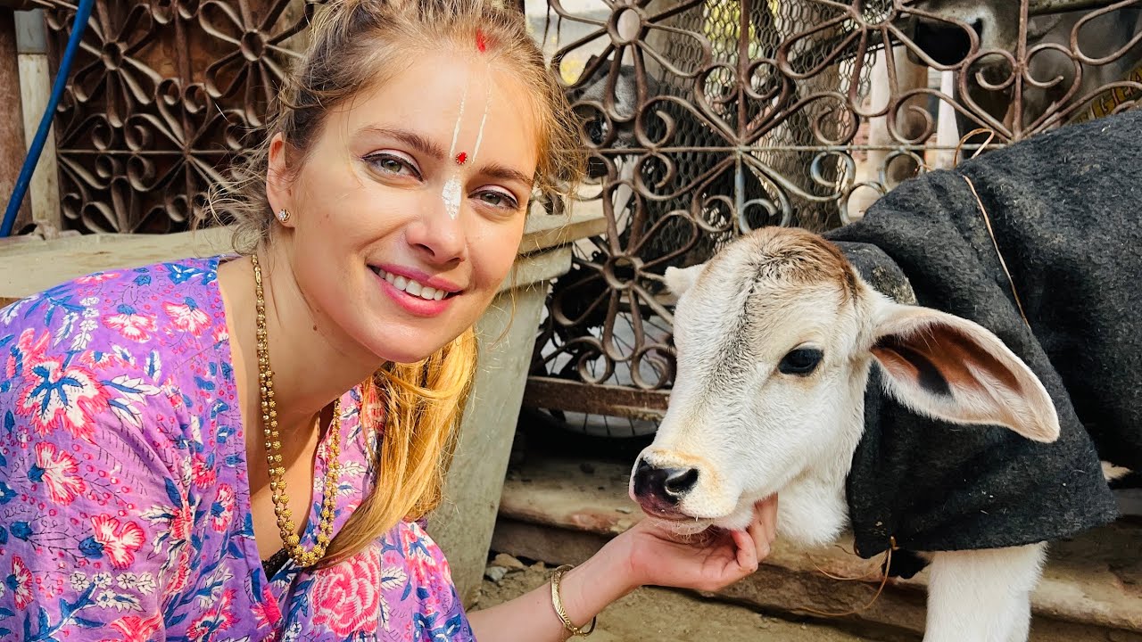 Goseva with Aindra. We use the best jaggery for Vraja cows! - YouTube
