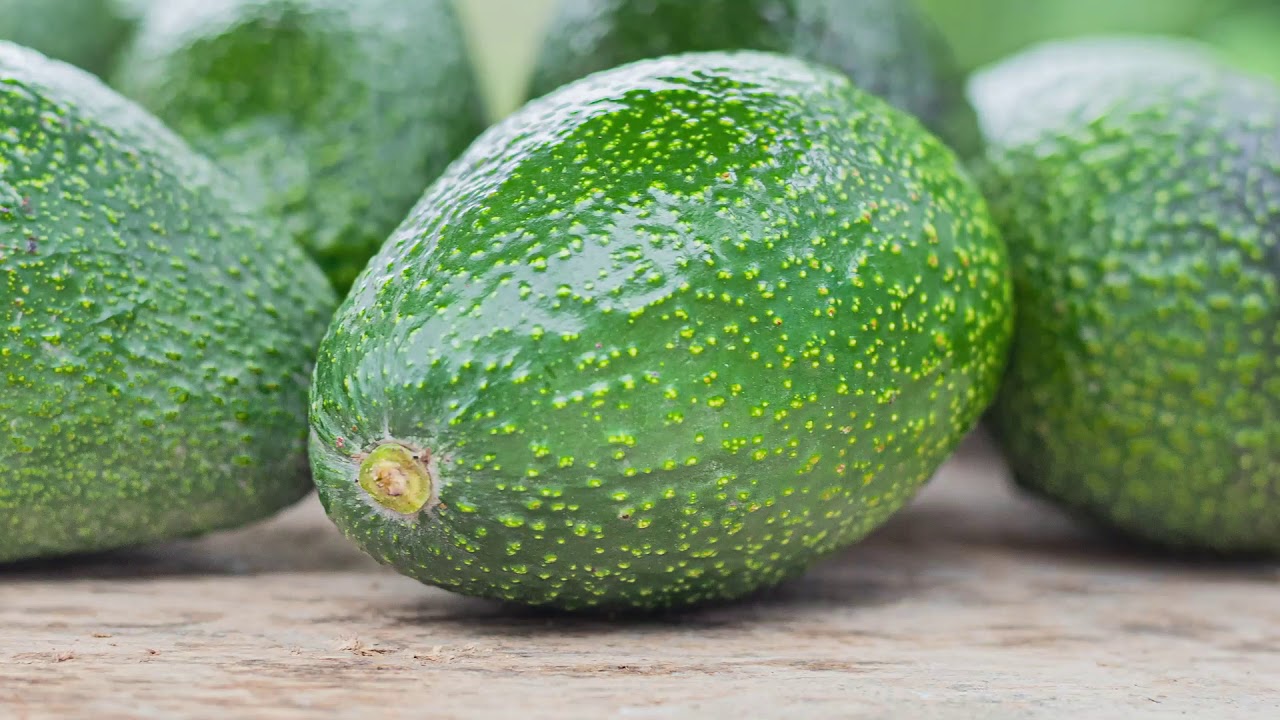 Nuestros paltos son Ecológicos. - YouTube