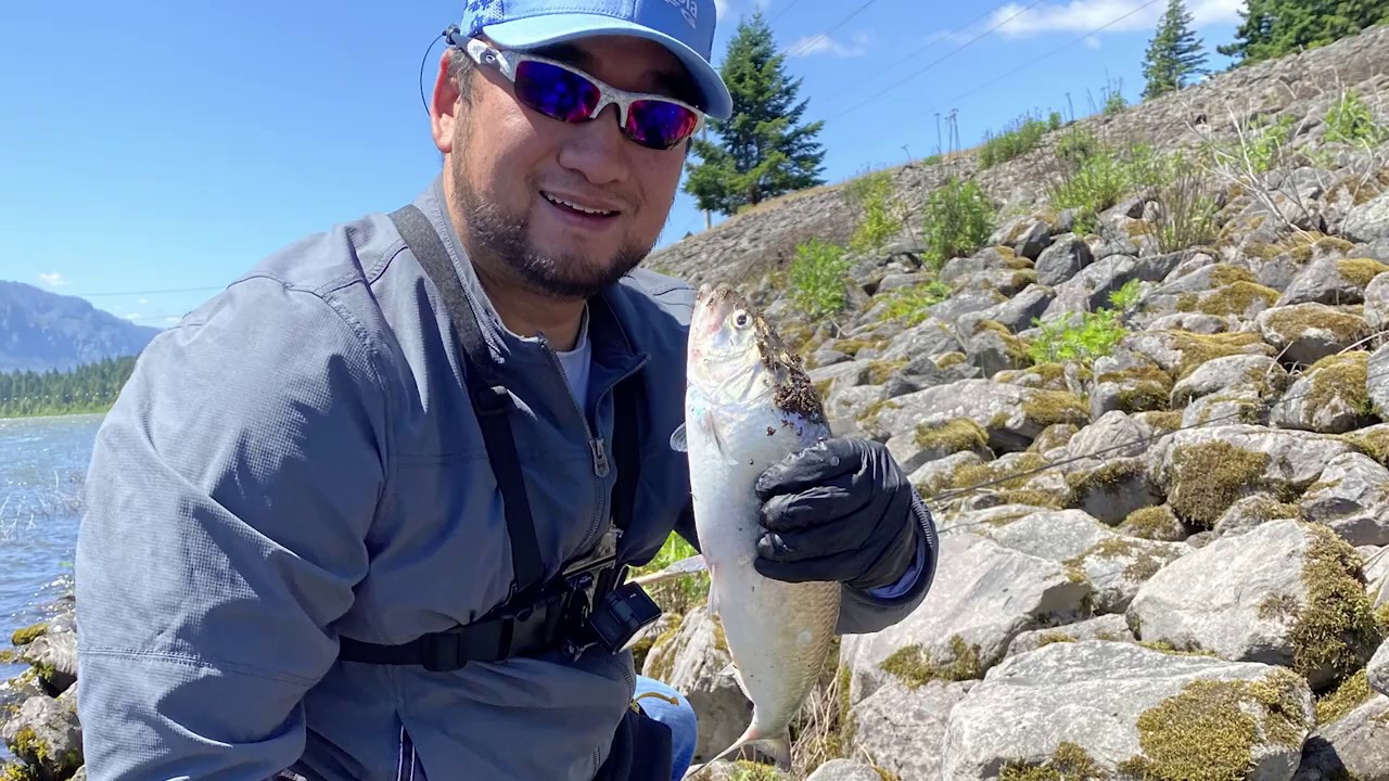 BEST WAY to Cook and Eat Shad - Crispy and No Bones! - YouTube
