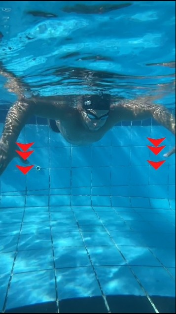 Breast Stroke for Swimming Beginners – Arm Movement That Actually Works ...