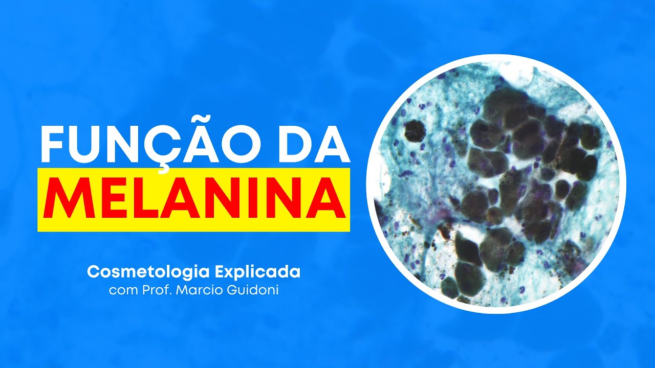 Qual é A Função Da Melanina - RETOEDU