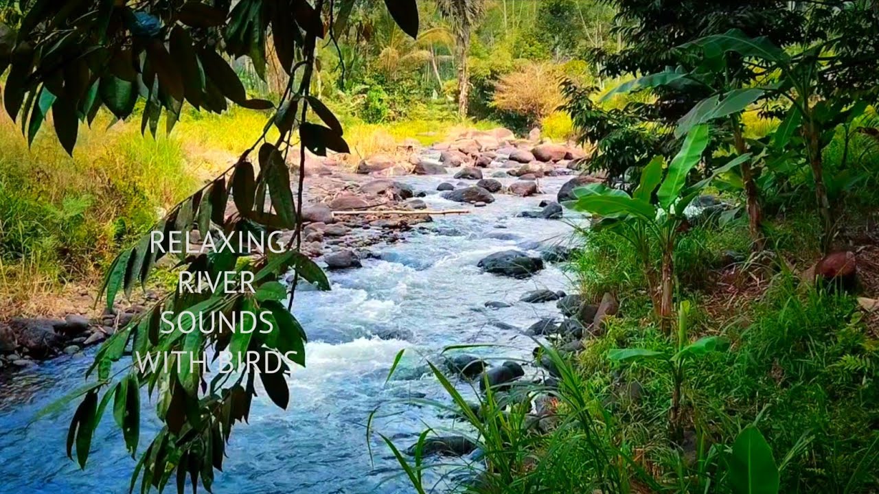RELAXING RIVER SOUNDS WITH BIRDS, NATURE SOUNDS, WATER SOUNDS, RELAXING ...