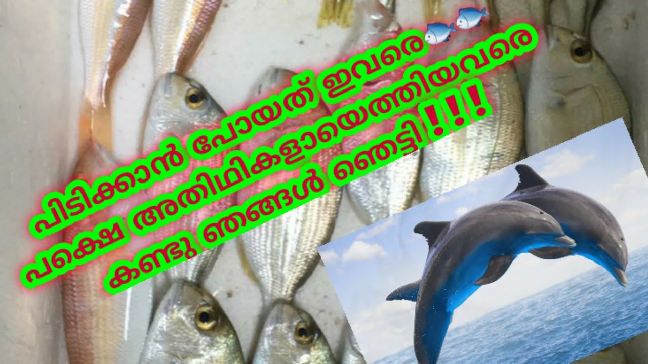 Fishing🐟🐟 || TAAS MEDIA || AJISH AND JOYS || COUPLES || BAHRAIN - YouTube