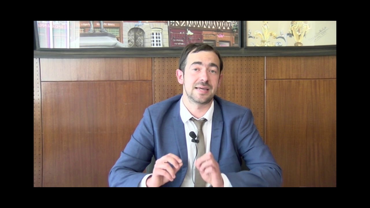 TTIPill "The EU strikes back" - Question 2 (prof. Alan Hervé) - YouTube