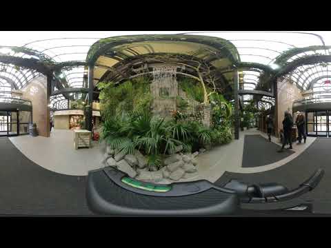 Cleveland Zoo Rainforest (360°) - YouTube