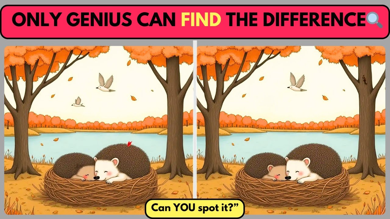 SPOT THE DIFFERENCE | Only 1% of People Can spot | FIND THE DIFFERENCE ...