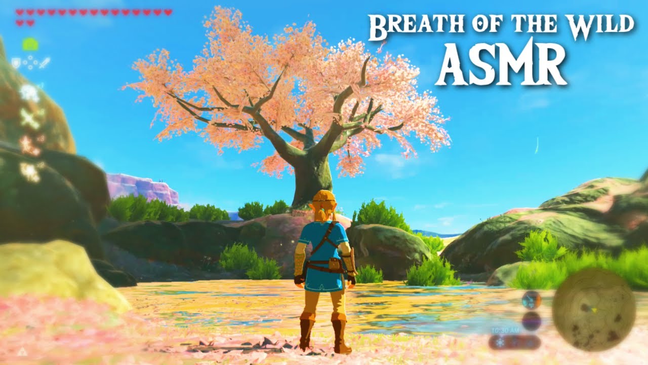 ASMR 🌸 My MOST Relaxing Breath of the Wild Video Ever 🏞️ Close Up Ear ...