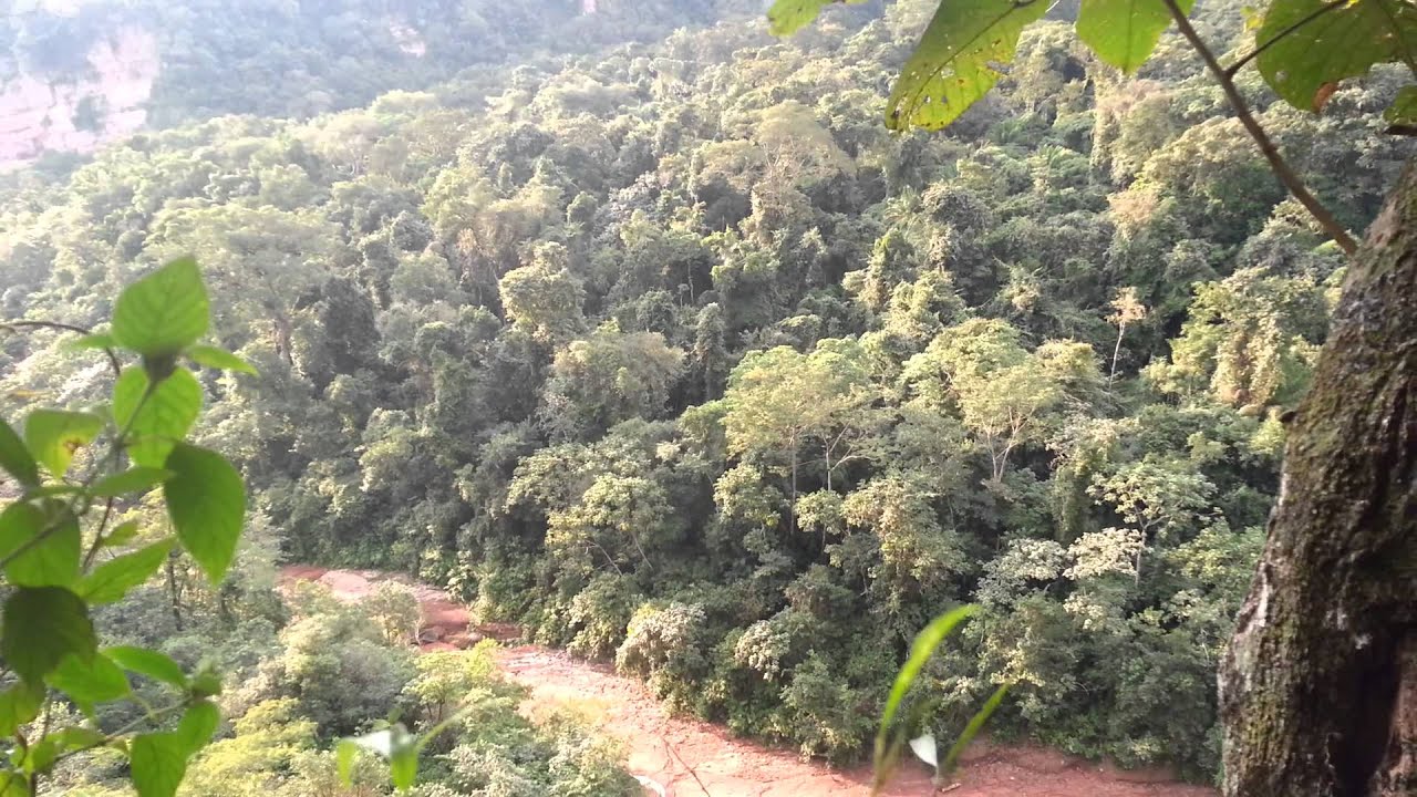 Amboro National Park North Side - Mataracu - YouTube