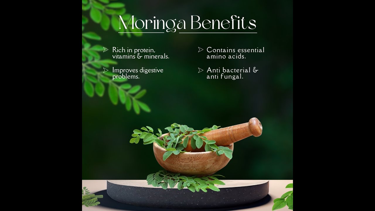 Moringa Ke Lakho Fayde (Saijan) - YouTube