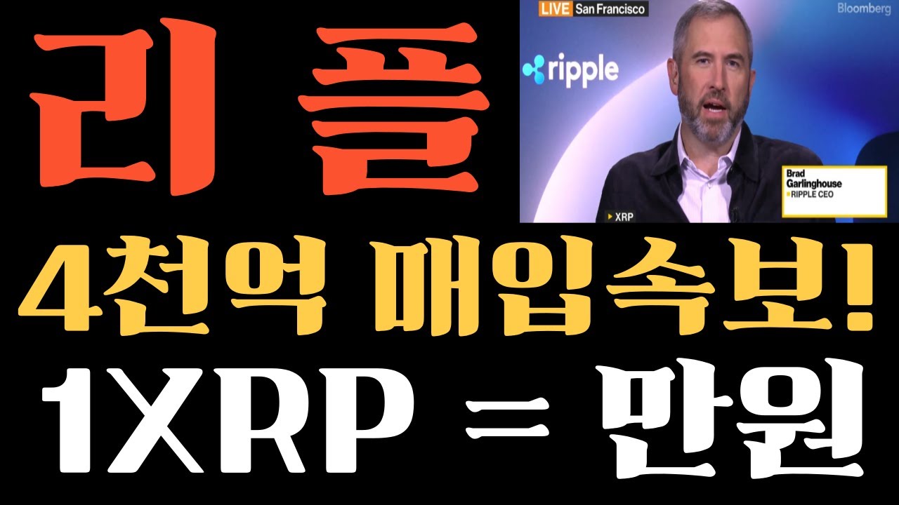 리플 코인 4천억 매입속보 리플ceo 작심했다 긴급공개 1xrp 만원 지금빨리보세요 리플목표가 리플호재 리플전망 리플코인목표가 리플코인호재 리플