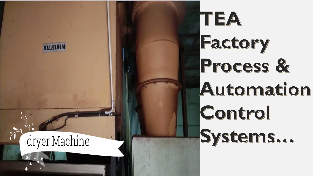 TEA Factory Process Siemens Automation / Tea Industry - YouTube