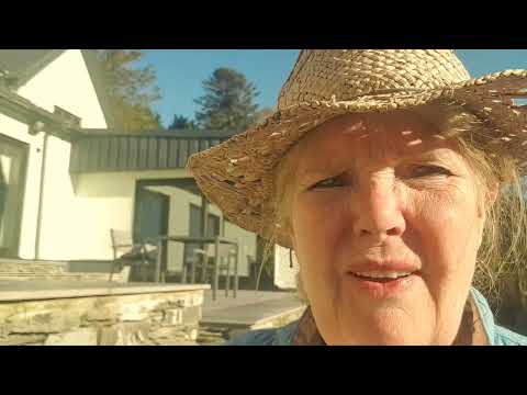 My lovely Lemon Cake, Wall building & Tadpole watch!