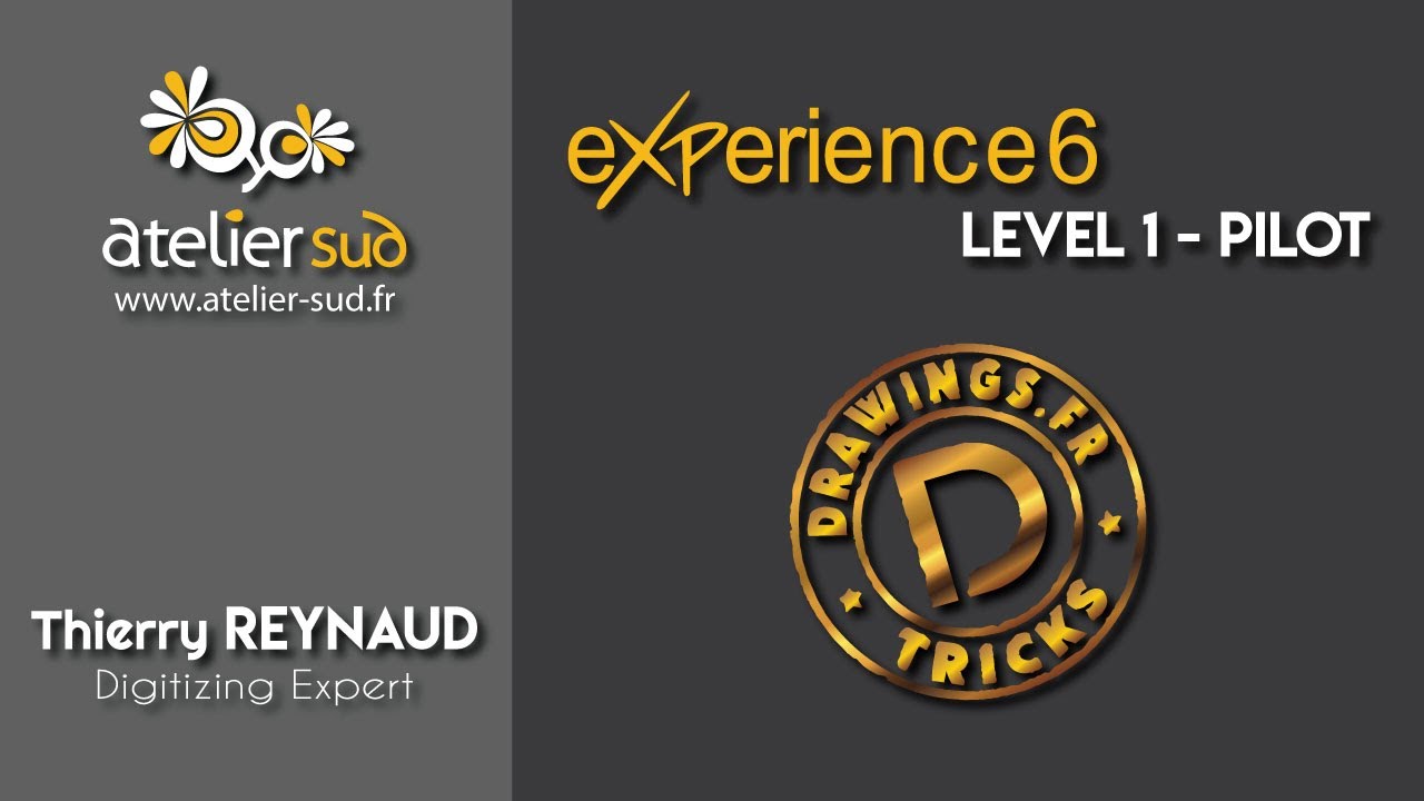 Wings eXPerience 6 - Level 1 Pilot - YouTube