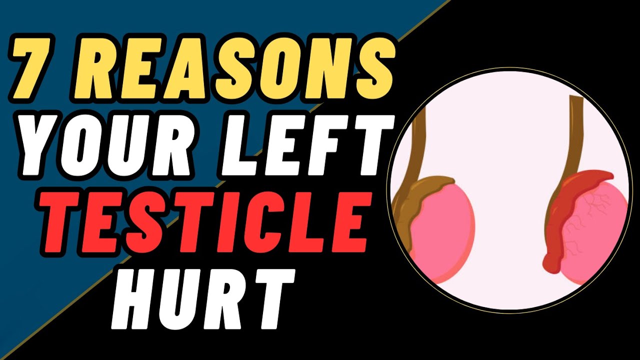 7 Reasons Your Left Testicle Hurts and What You Can Do About It - YouTube