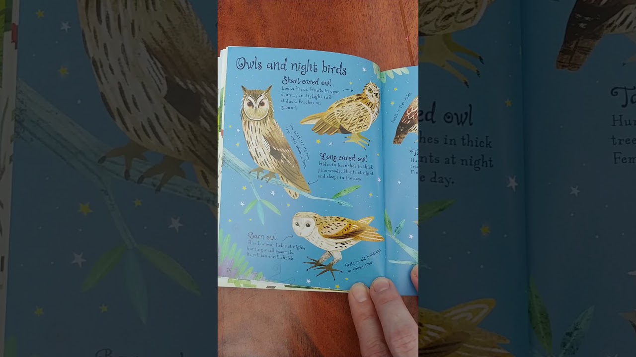 Birds to Spot - Usborne minis - Usborne Books at Home - YouTube