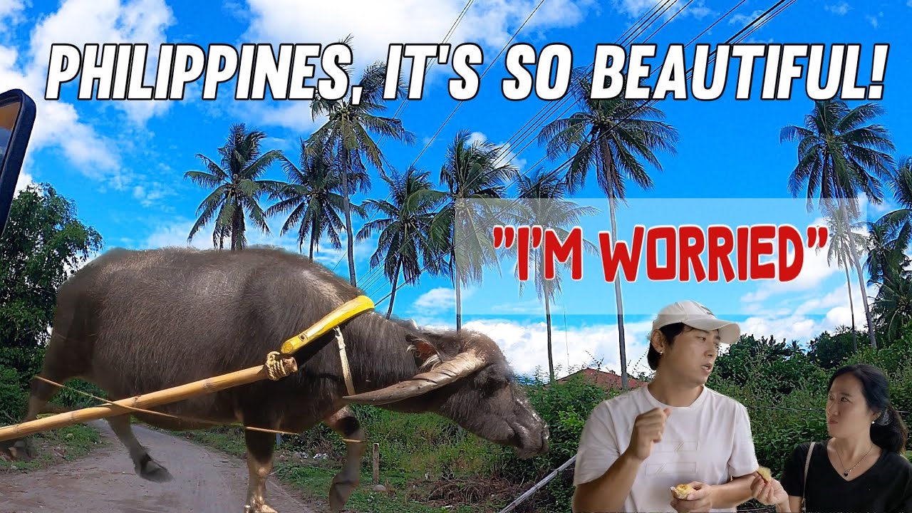 [🇰🇷🇵🇭]Crazy scenery!! Hot spot in Dumaguete!!Let’s see together!! - YouTube