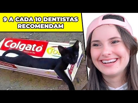 OS MEMES NUNCA DORMEM I Falaidearo
