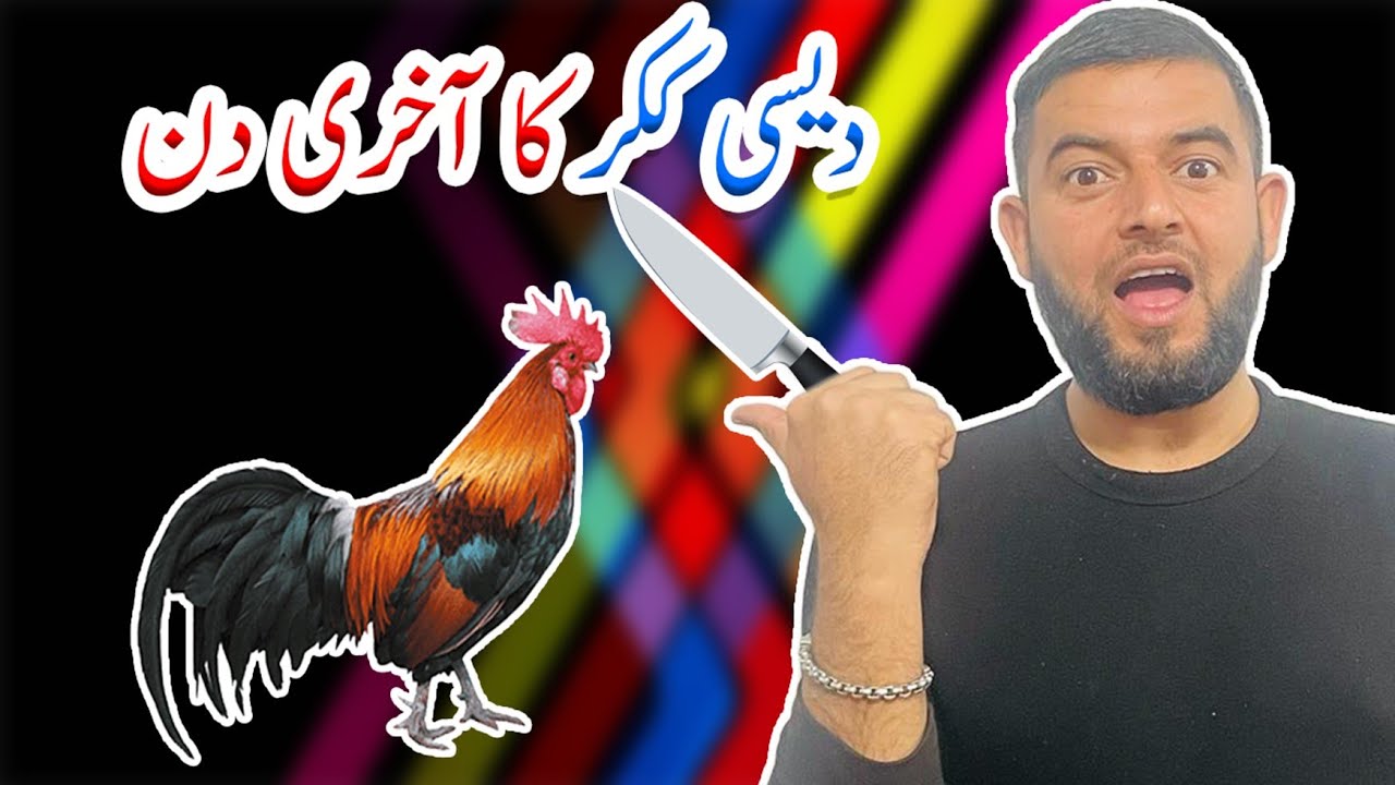 Desi Kukkar ka Akhri Din || How to make Desi Kukkar Karai || Rashid ...