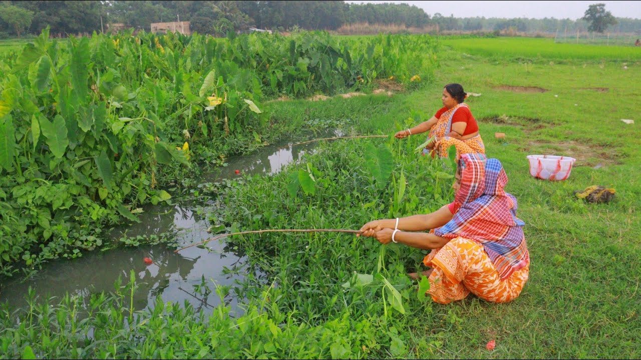 Fishing Video😱 || Traditional lady fishing in the village canal will ...