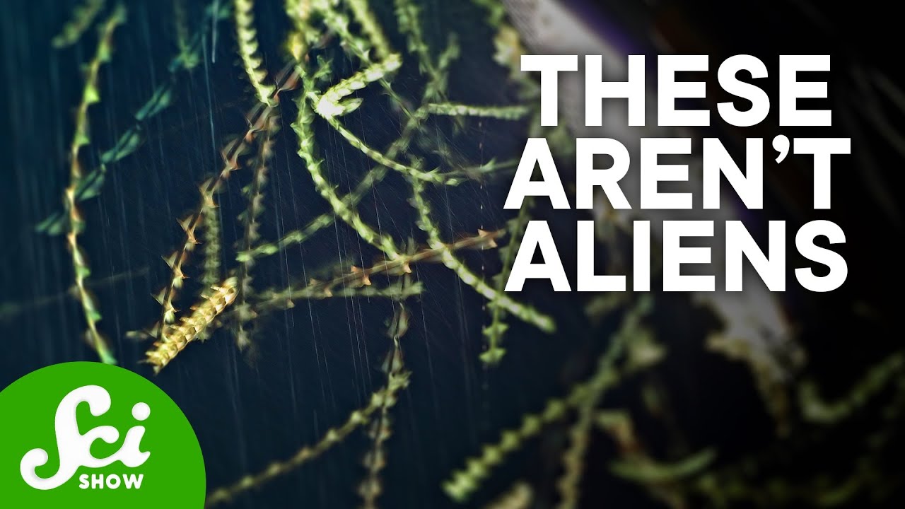 3 Paranormal Experiences Explained by Science - YouTube