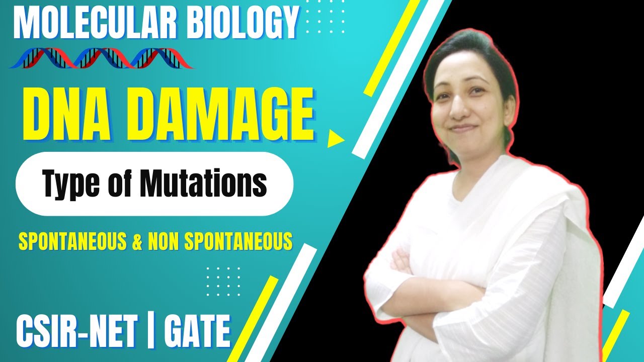 DNA Damage | Type of Mutations in DNA | DNA Damage and Repair CSIR NET ...