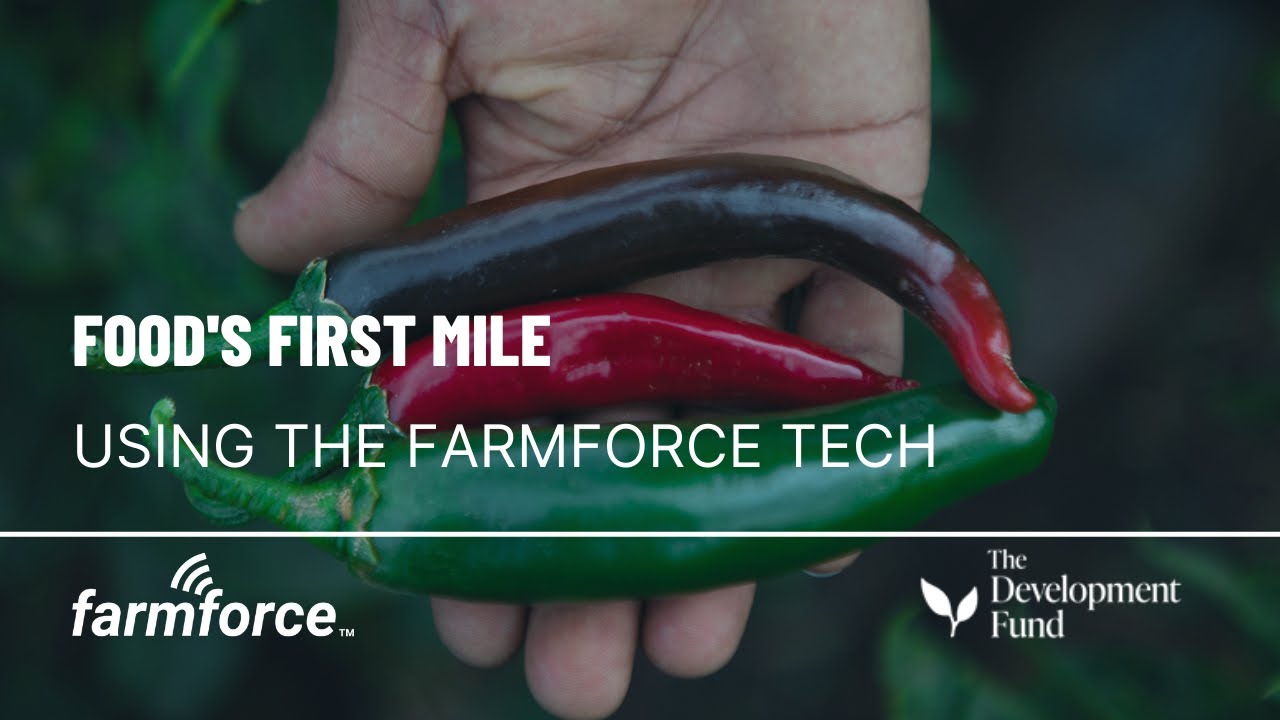 DFN x Farmforce: Using the Farmforce tech - YouTube